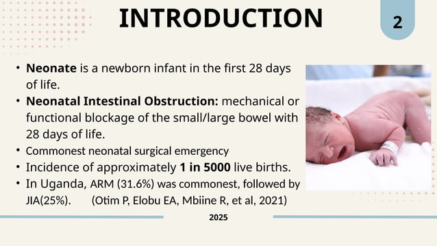 NEONATAL IO.pptx surgical paediatric emergencies | PPT