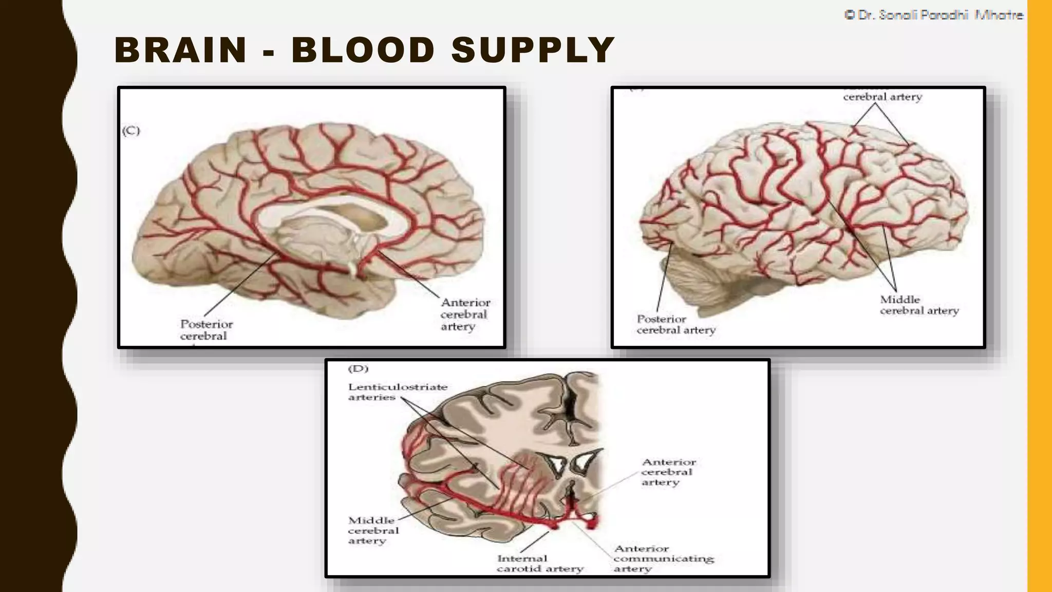 Neonatal Intracranial Hemorrhage - by dr. Sonali Mhatre | PPTX