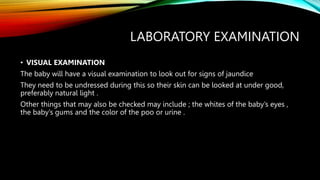 NEONATAL JAUNDICE CHARACTERISTICS PPPT - | PPTX