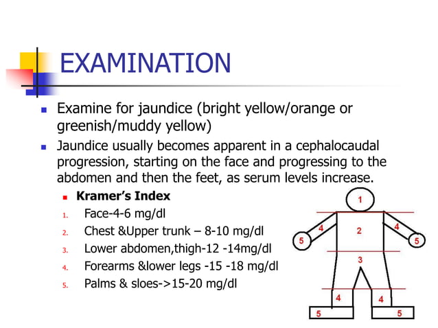 Neonatal jaundice | PDF | Pregnancy | Reproductive Health