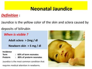 Neonatal jaundice | PPTX