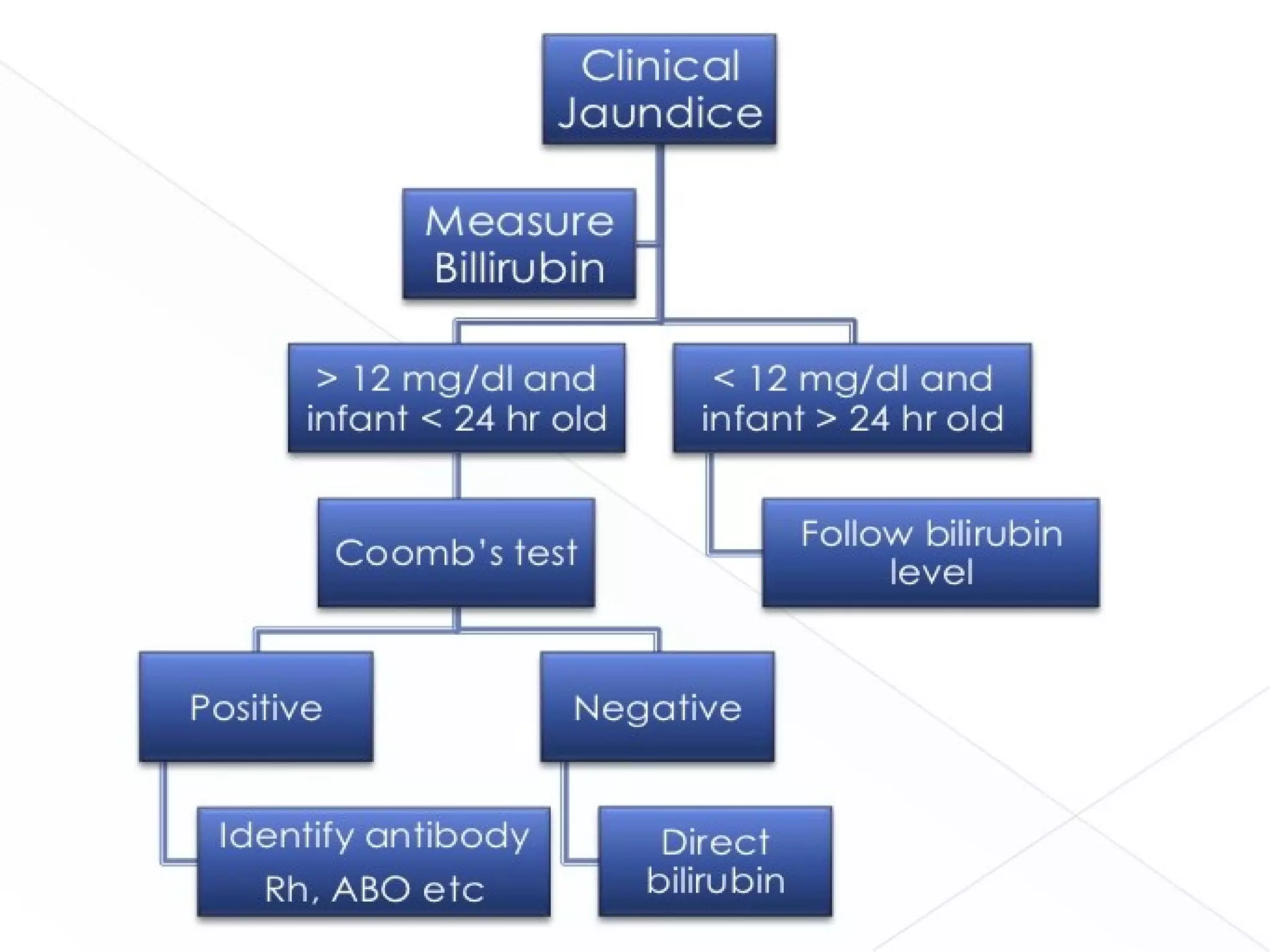 Neonatal jaundice | PPT