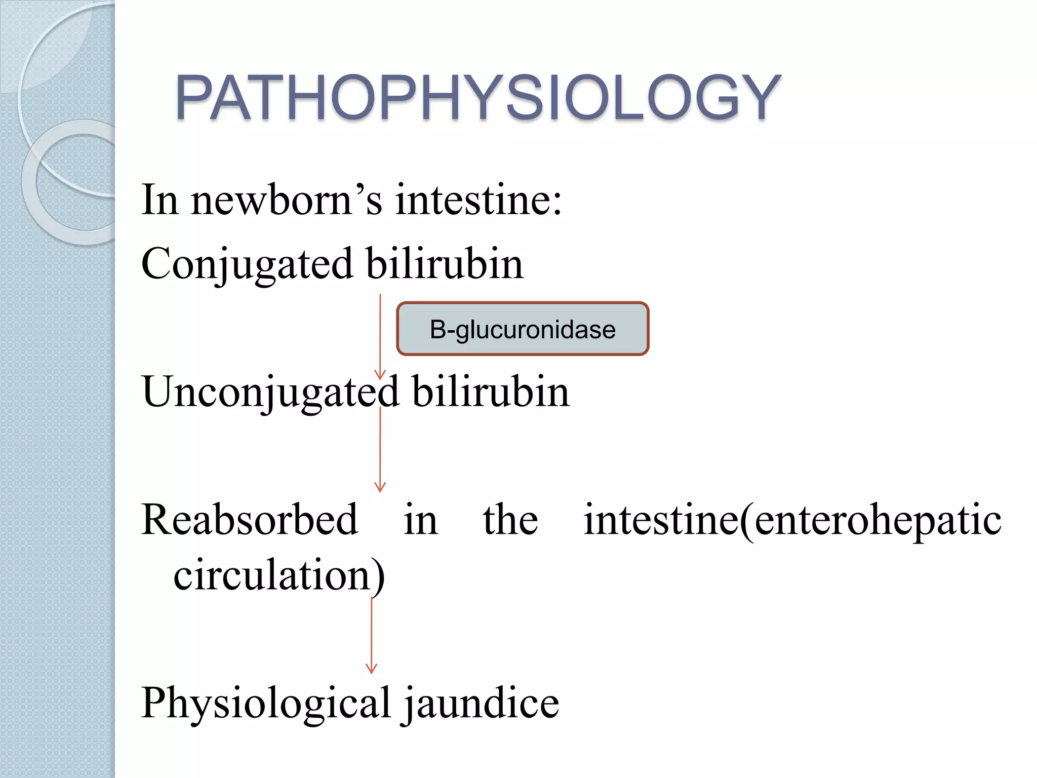 Physiological jaundice among newborns/ Icterus neonatorum | PPTX