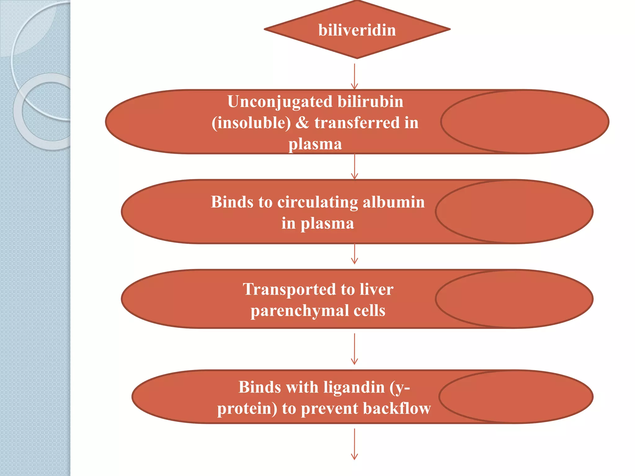 Physiological jaundice among newborns/ Icterus neonatorum | PPTX