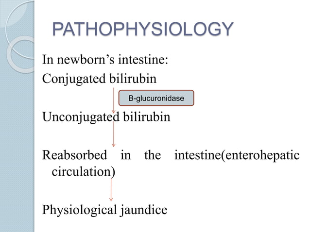 Physiological jaundice among newborns/ Icterus neonatorum | PPTX ...