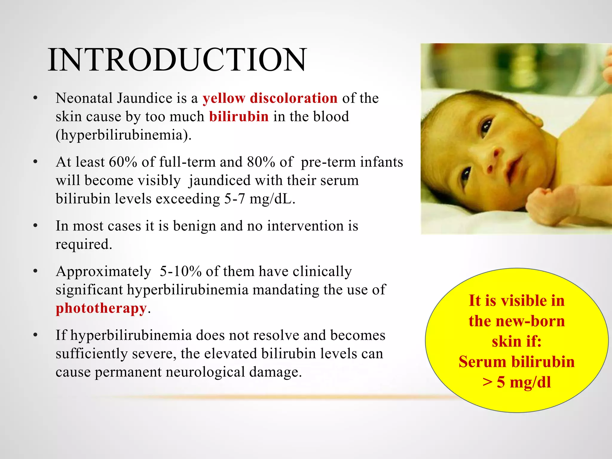 Neonatal Jaundice Pptx Muhadharaty Neonatal Jaundice | PDF