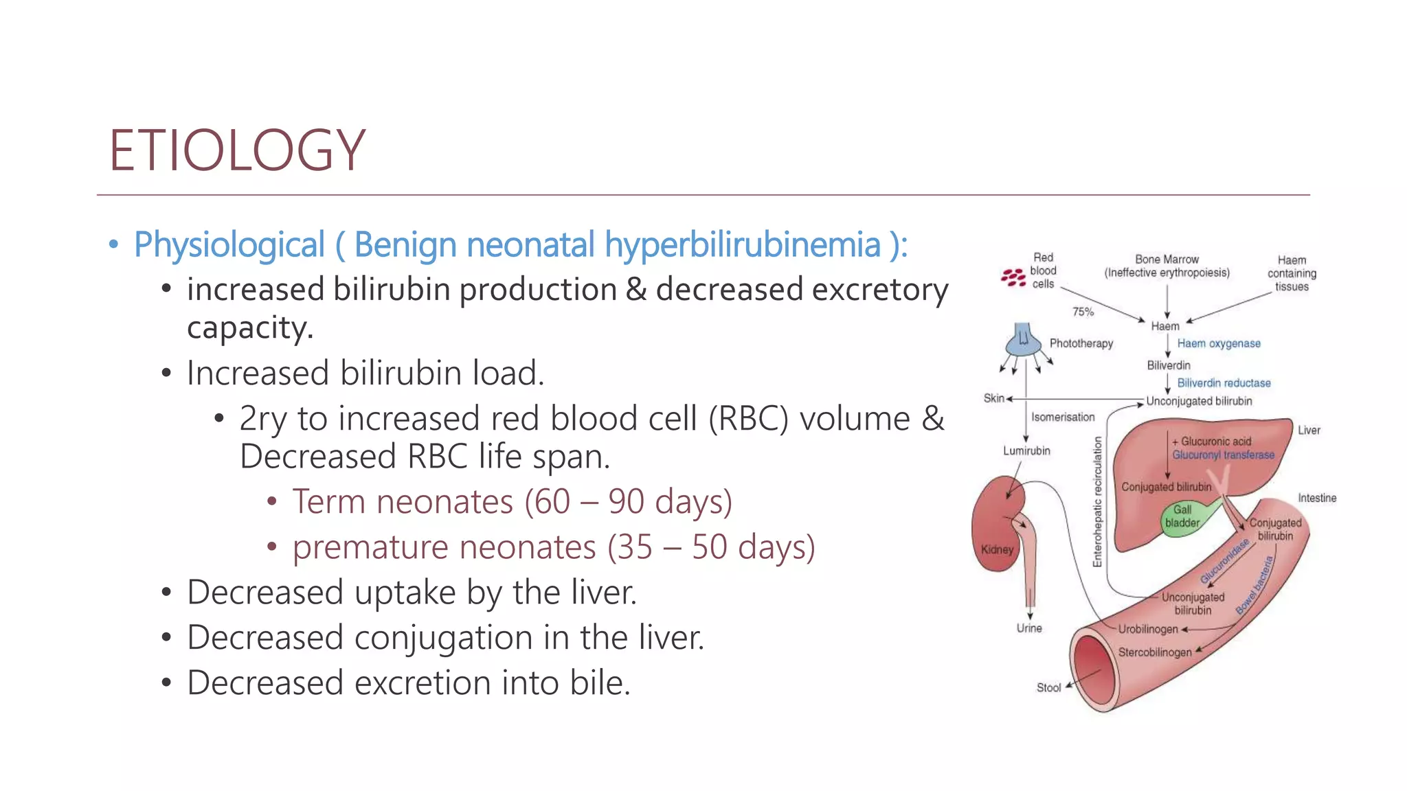 Approach to Neonatal jaundice | PPTX