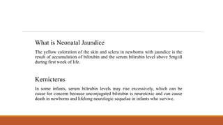 Neonatal Jaundice.pptx