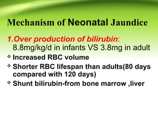 Neonatal Jaundice for the new borns .ppt
