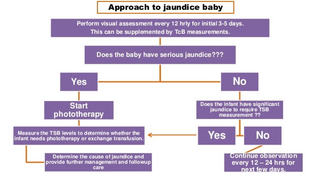 Neonatal jaundice final
