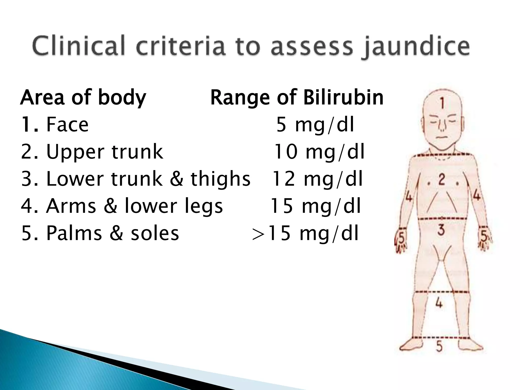 Neonatal jaundice | PPTX