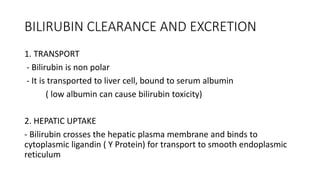 NEONATAL JAUNDICE 2.pptx