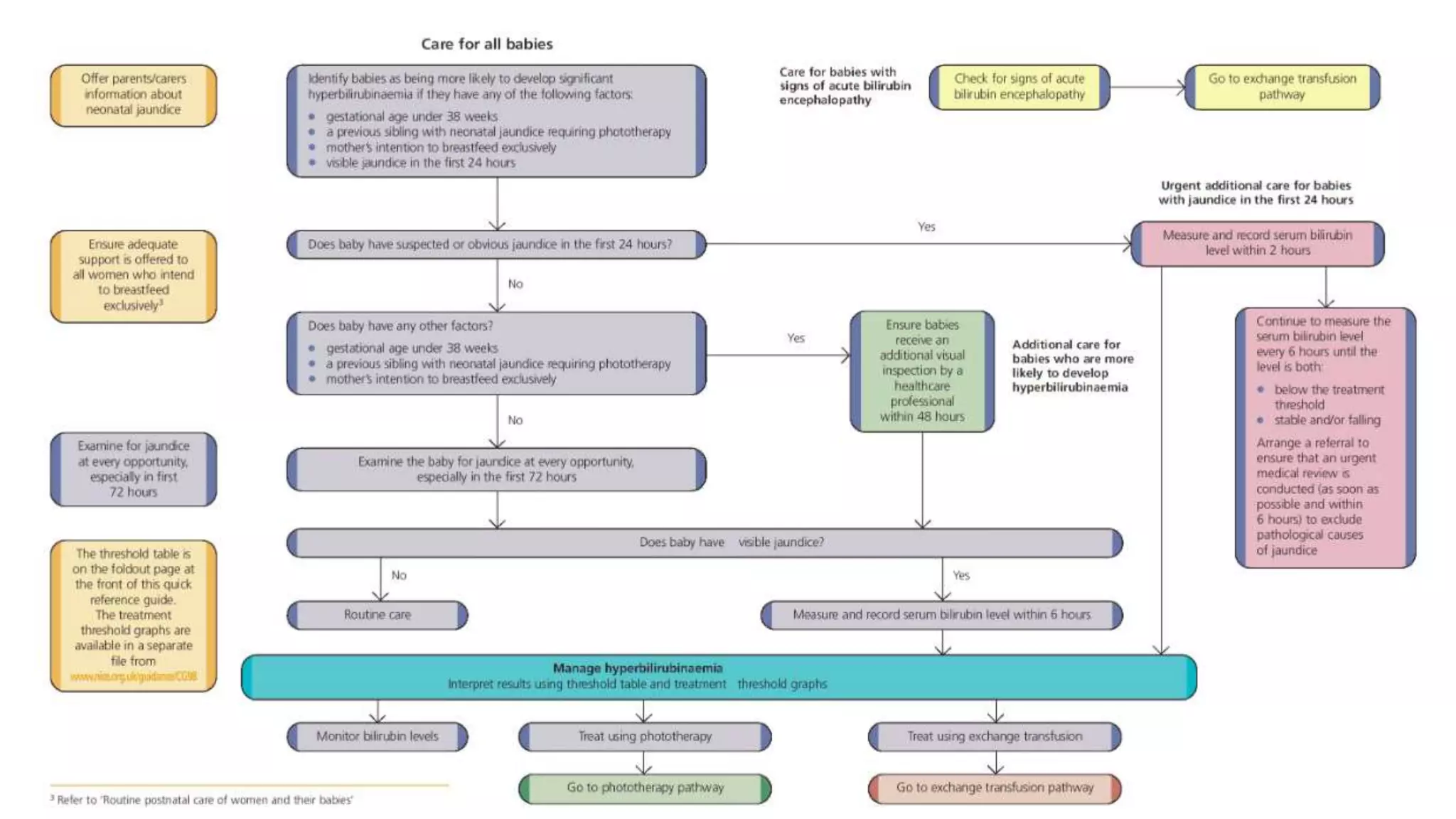 Neonatal jaundice Overview and management | PPTX