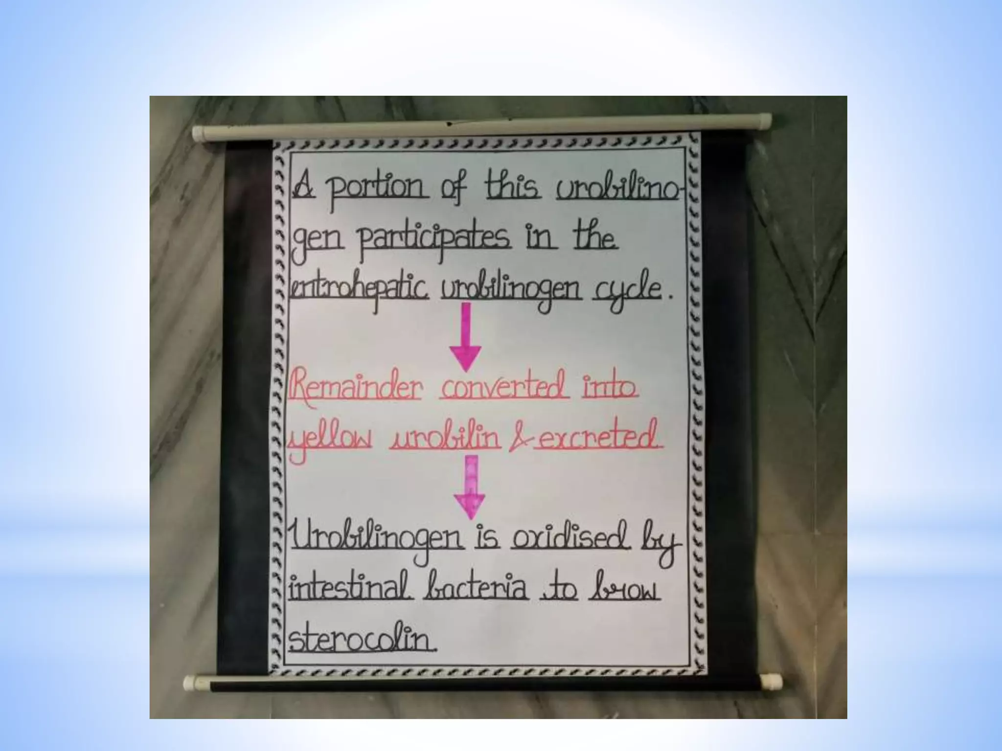 Neonatal jaundice presentation | PPTX