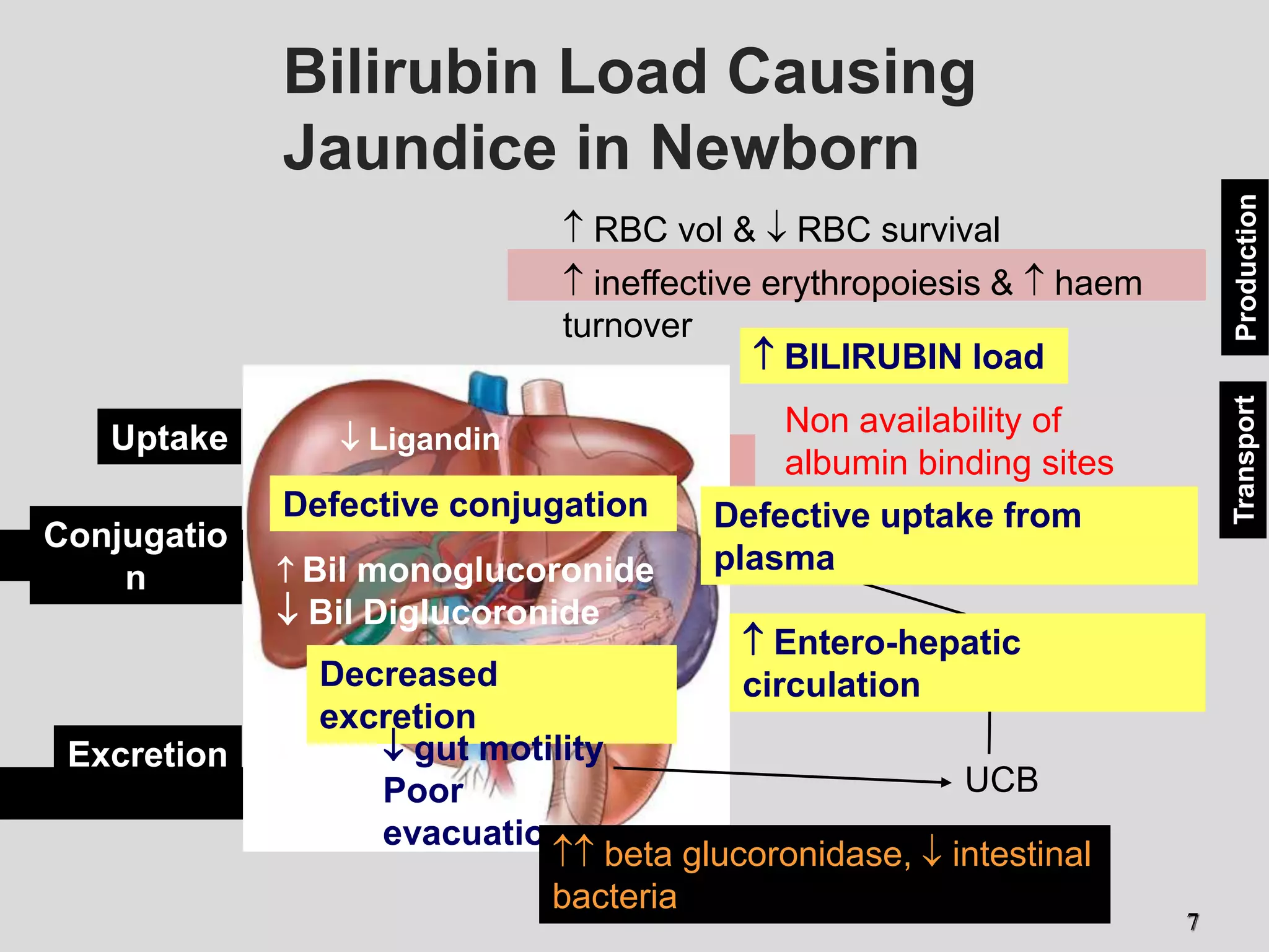 Neonatal jaundice(reference msia cpg) | PPTX