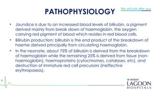 Neonatal Jaundice (A case scenario in the tropics) | PPTX