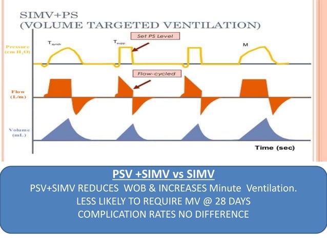 Neonatal mechanical ventilation | PPTX | Lung and Respiratory Health ...