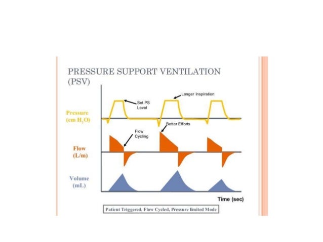 Neonatal mechanical ventilation