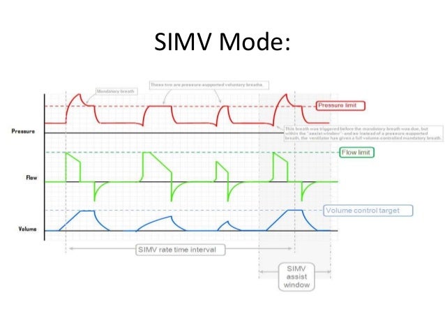Neonatal mechanical ventilation
