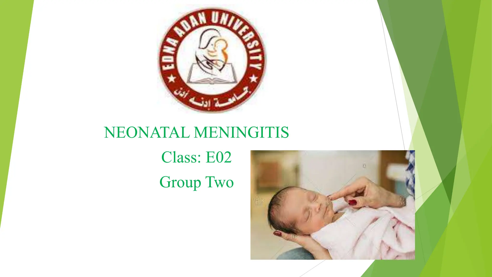BRAIN DISORDER |Neonatal Meningitis | PHARMACOTHERPEUTICS | PPTX ...