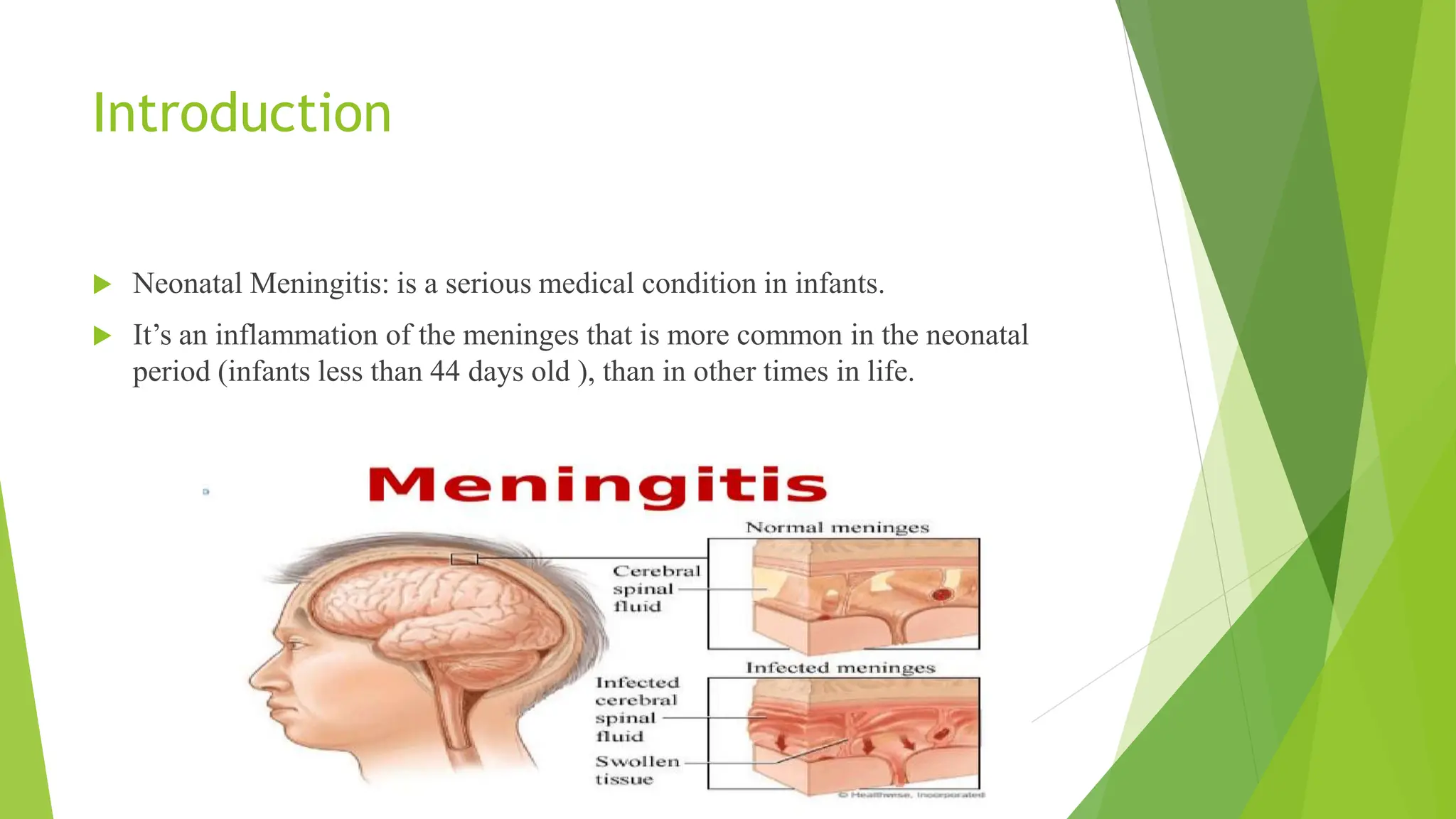 BRAIN DISORDER |Neonatal Meningitis | PHARMACOTHERPEUTICS | PPTX ...