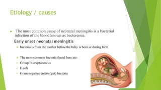 BRAIN DISORDER |Neonatal Meningitis | PHARMACOTHERPEUTICS | PPTX