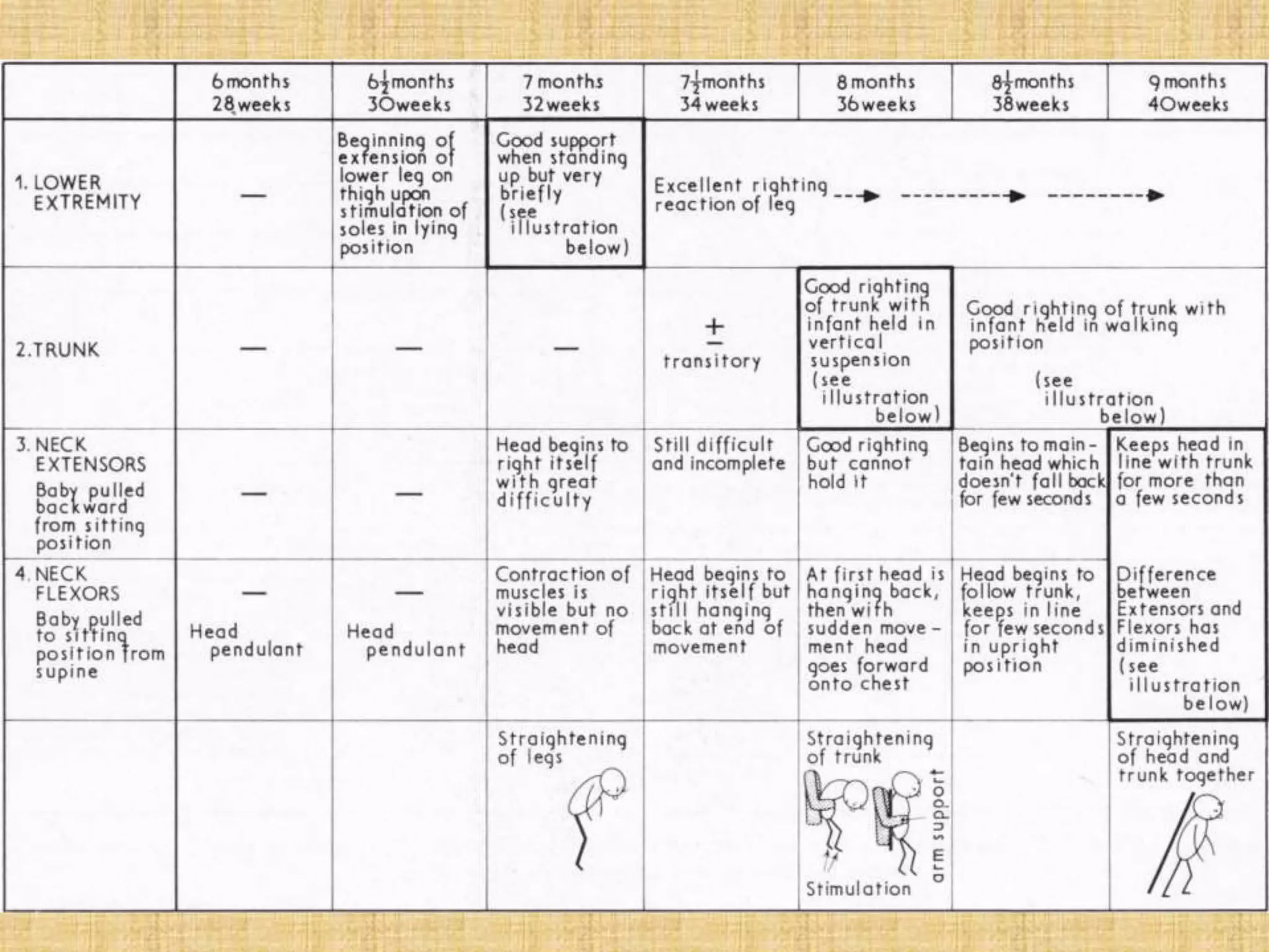 Neonatal Neurological Examination (1)-1.pptx