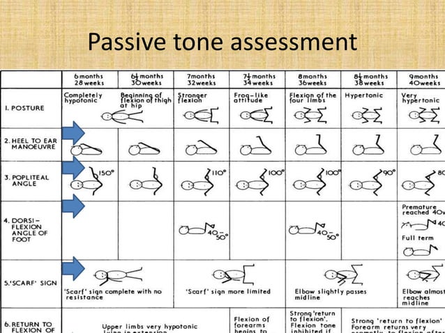 Neonatal Neurological Examination (1)-1.pptx