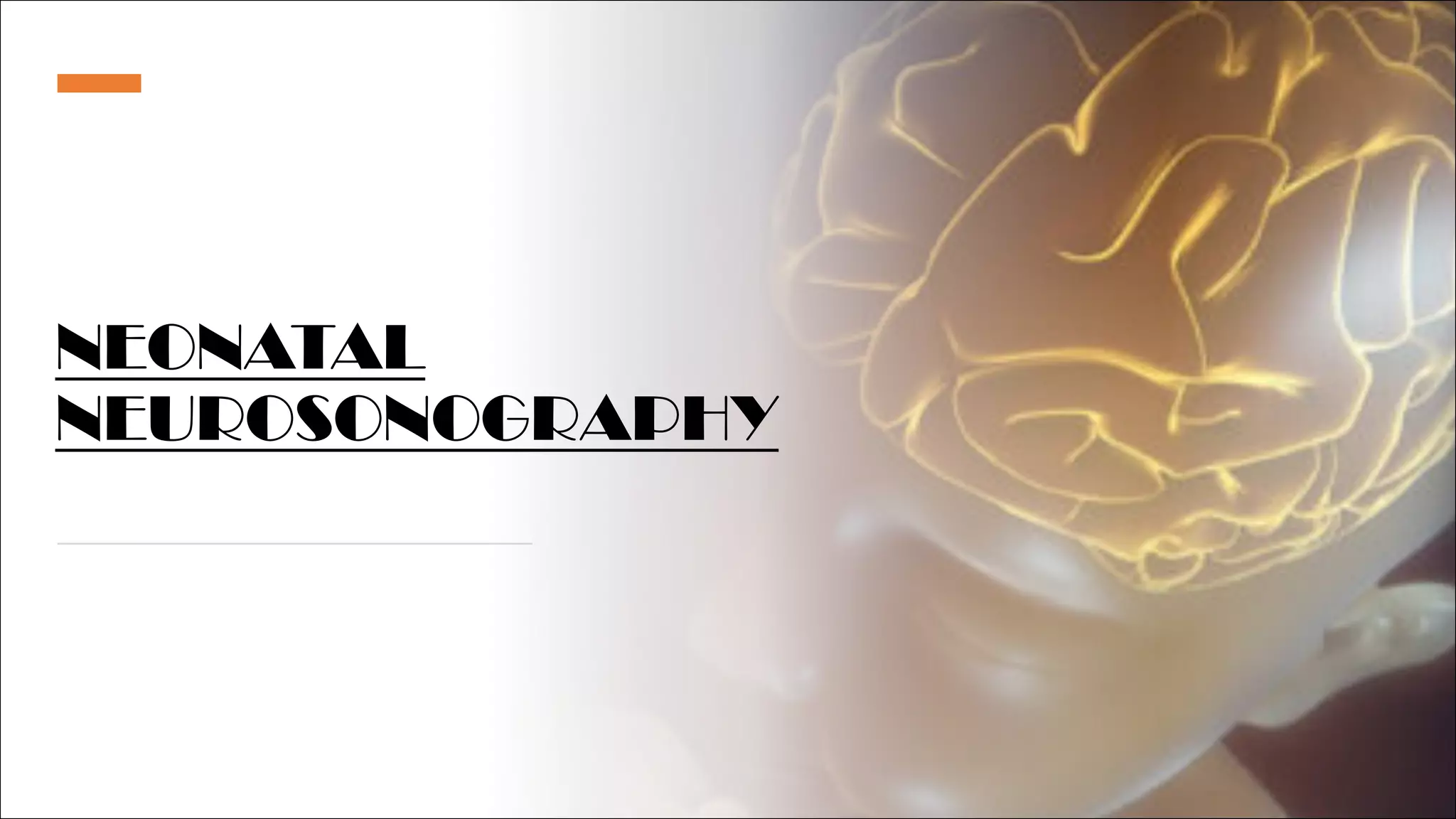 Neonatal neurosonography | PDF