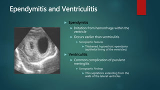 Neonatal neurosonography | PPTX