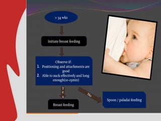 Neonatal Nutrition steps and problems and management | PPTX