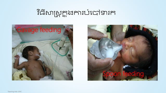 Neonatal nutrition and feeding | PPTX | Pregnancy | Reproductive Health