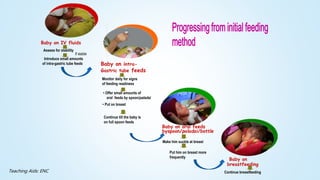 Neonatal nutrition and feeding | PPTX