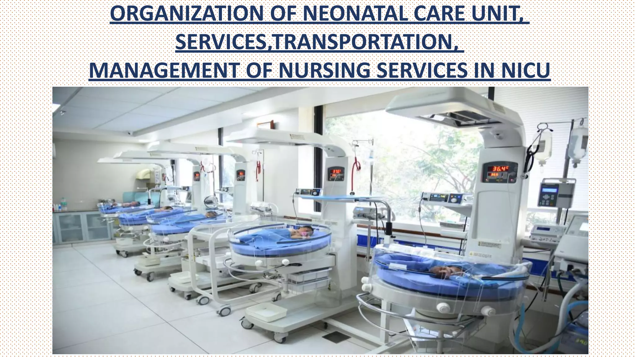 NEONATAL ORGANIZATION.pptx