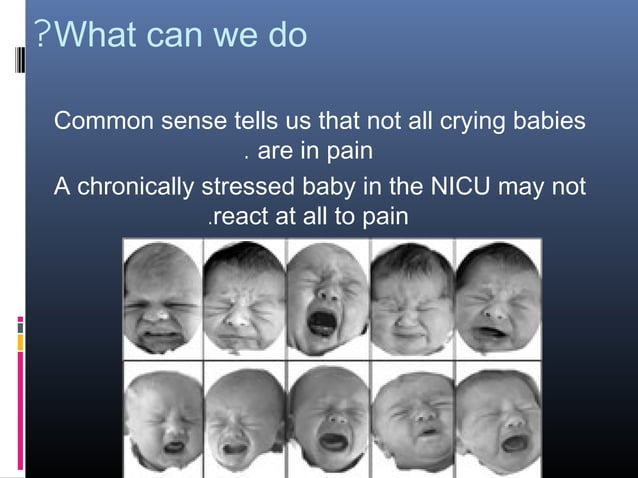 Neonatal pain 2013-rcmc | PPT