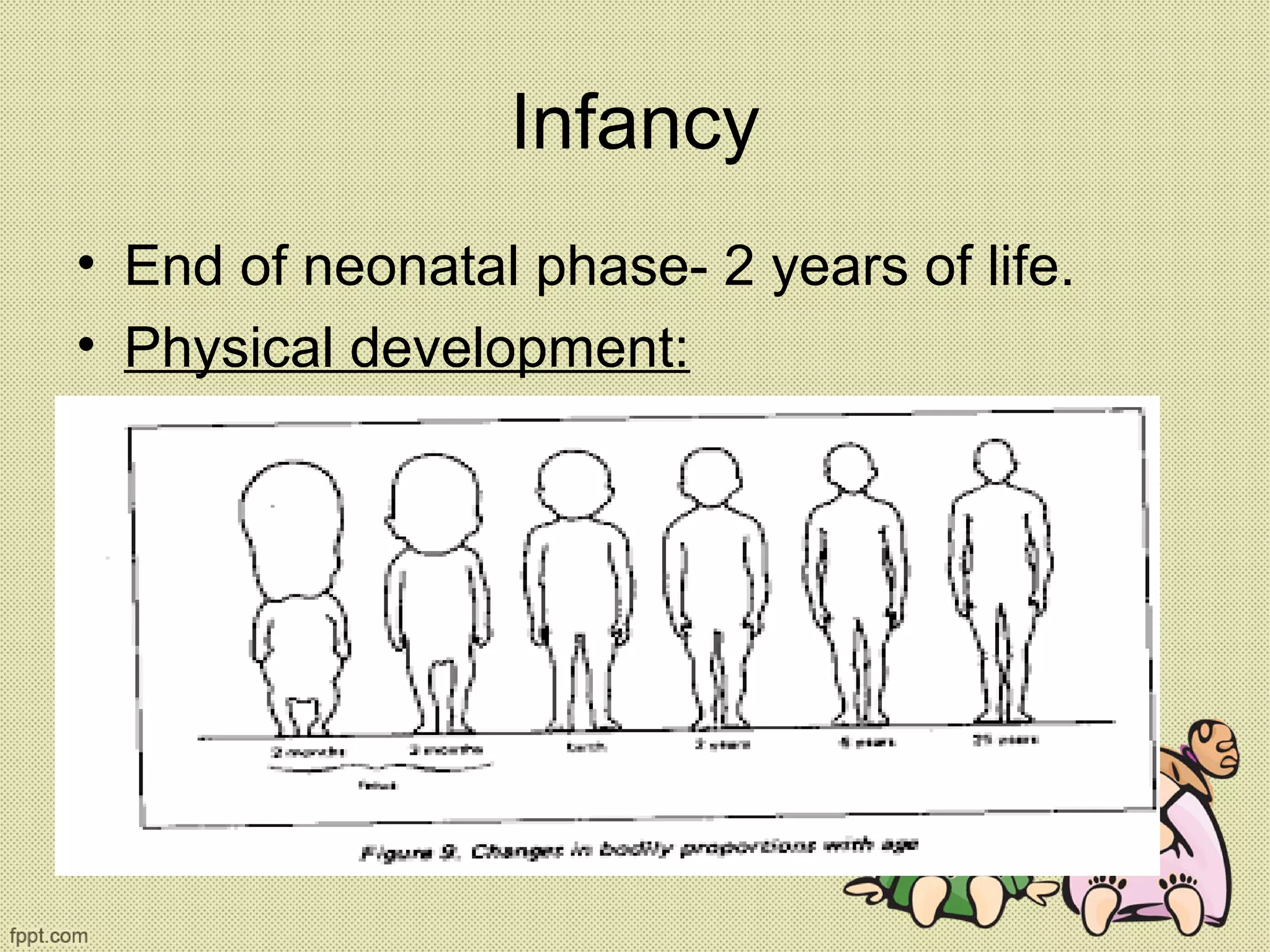 Neonatal phase and infancy | PPT