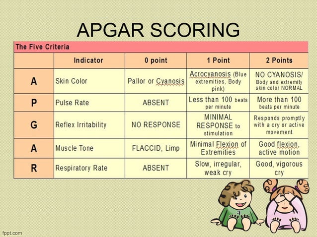 Neonatal phase and infancy | PPT