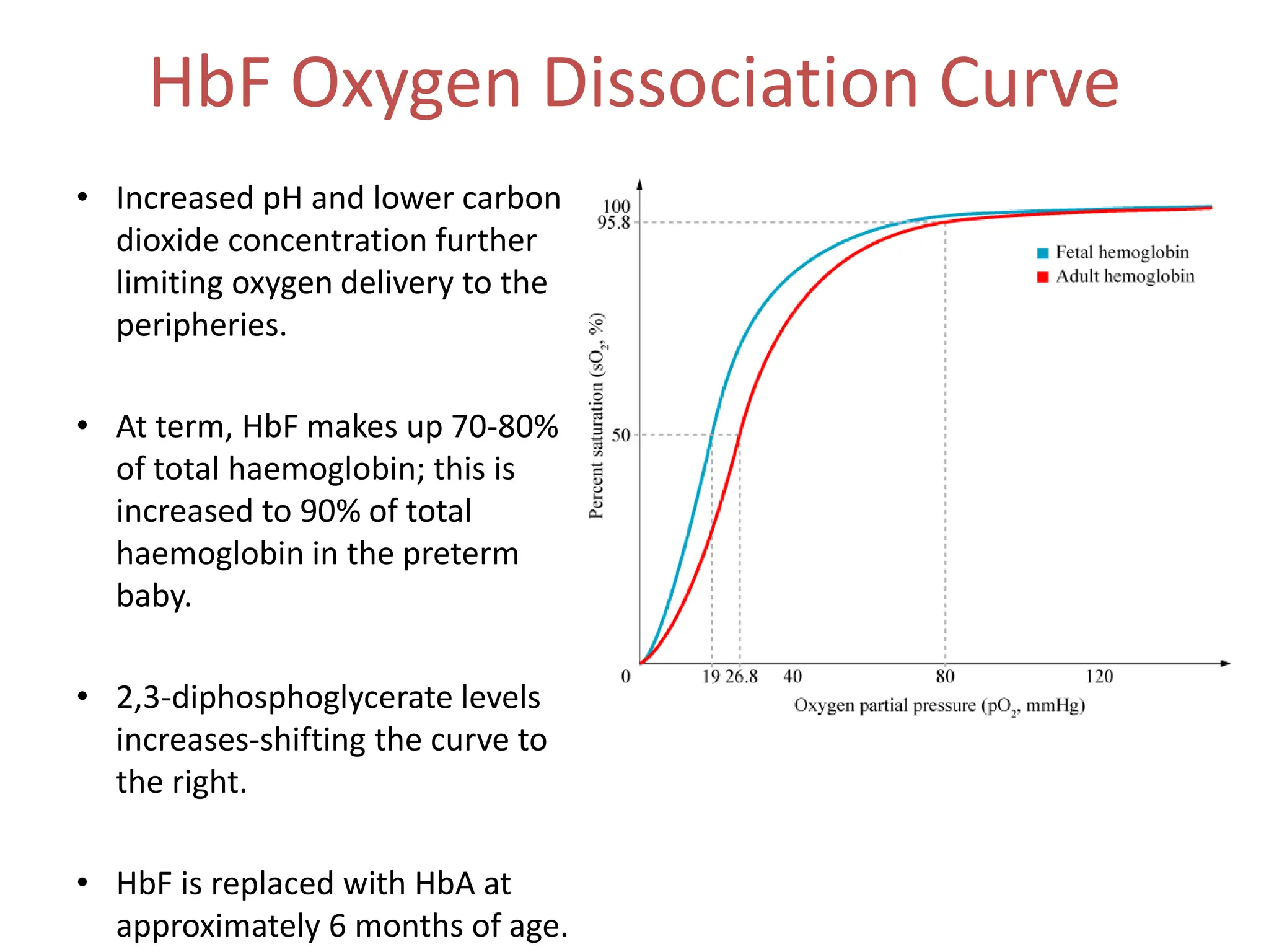 neonatal physiology and infant physiology.pptx