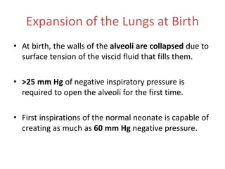 neonatal physiology and infant physiology.pptx