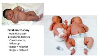 Neonatal Physiology and Prematurity.pptx