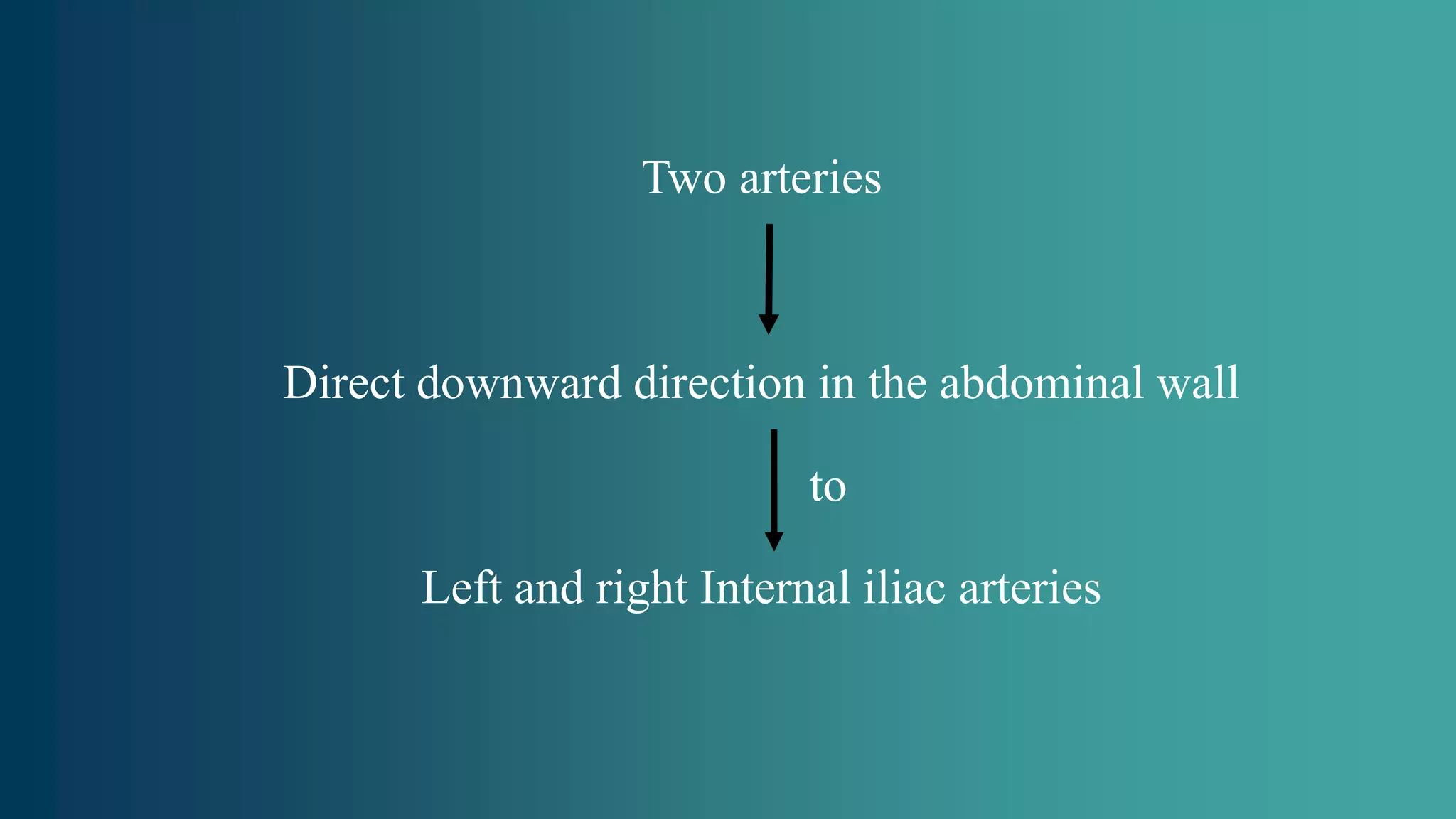 Neonatal procedures final | PPTX