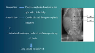 Neonatal procedures final | PPTX