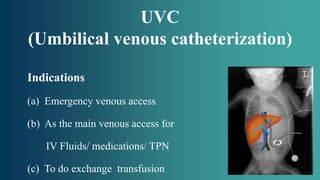 Neonatal procedures final | PPTX