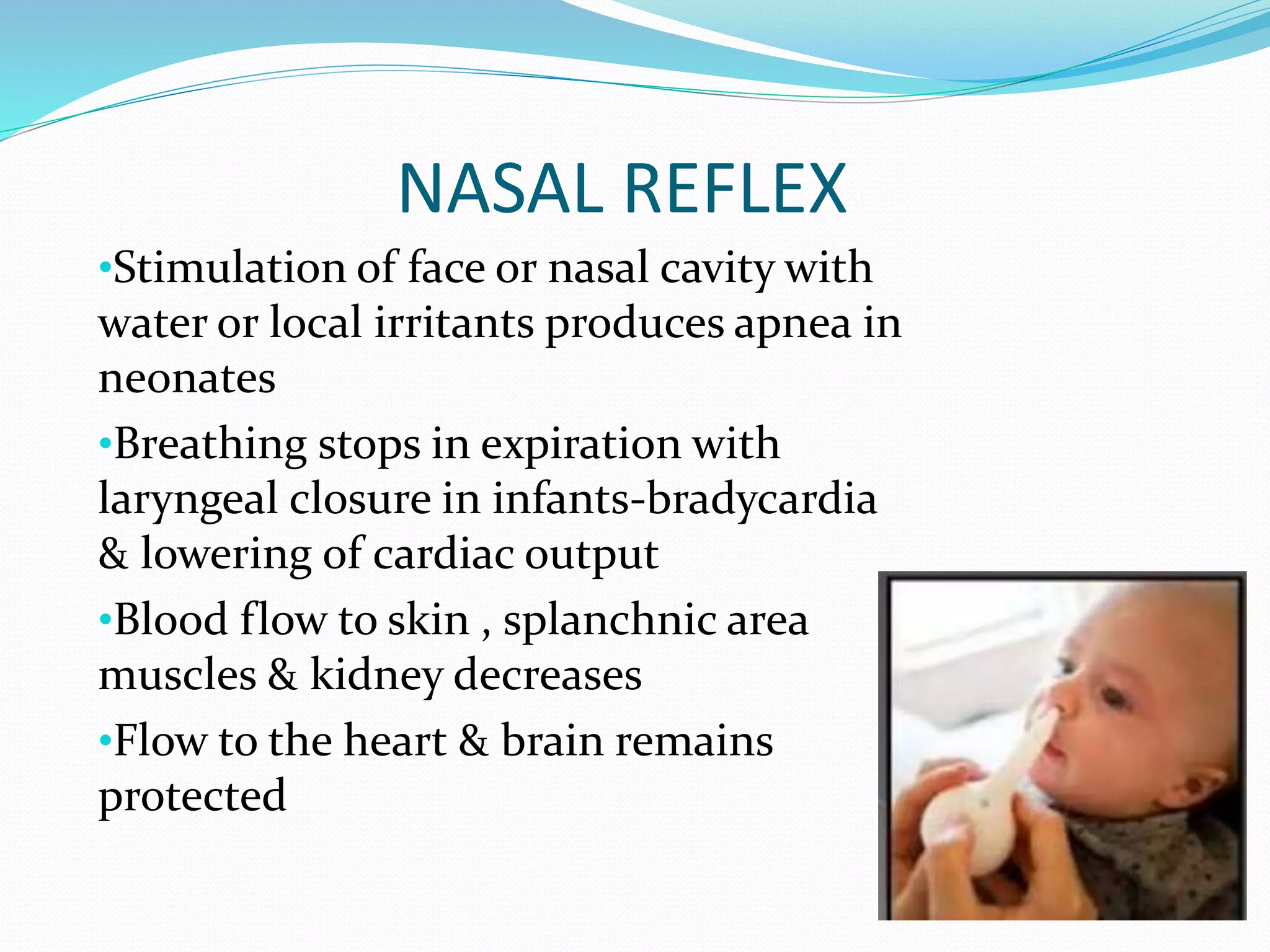 Neonatal Reflex | PPTX