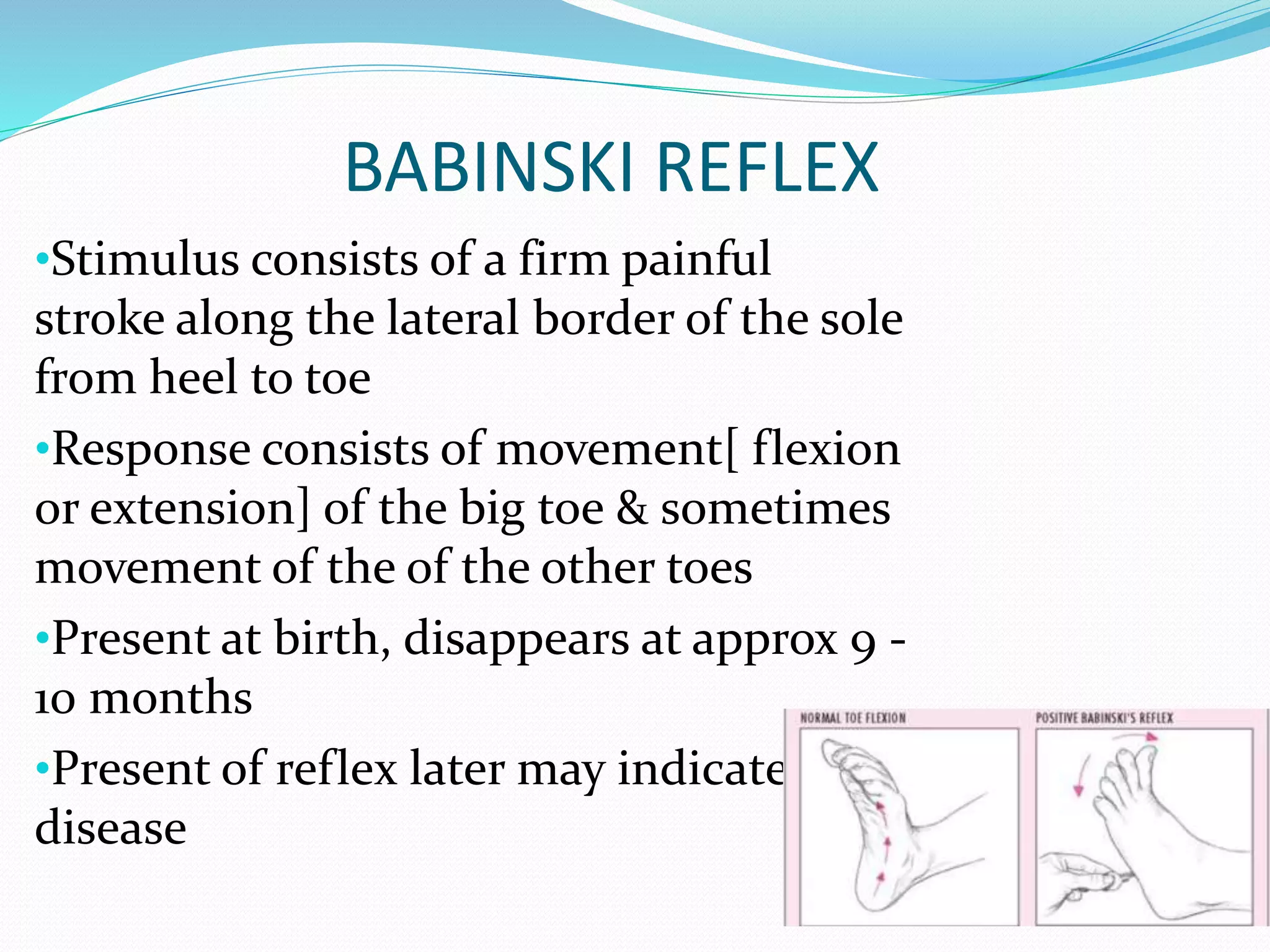 Neonatal Reflex | PPTX
