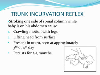 Trunk Incurvation Reflex
