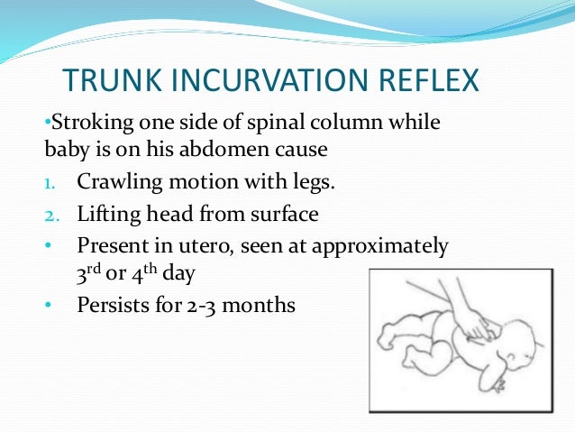 Neonatal Reflex