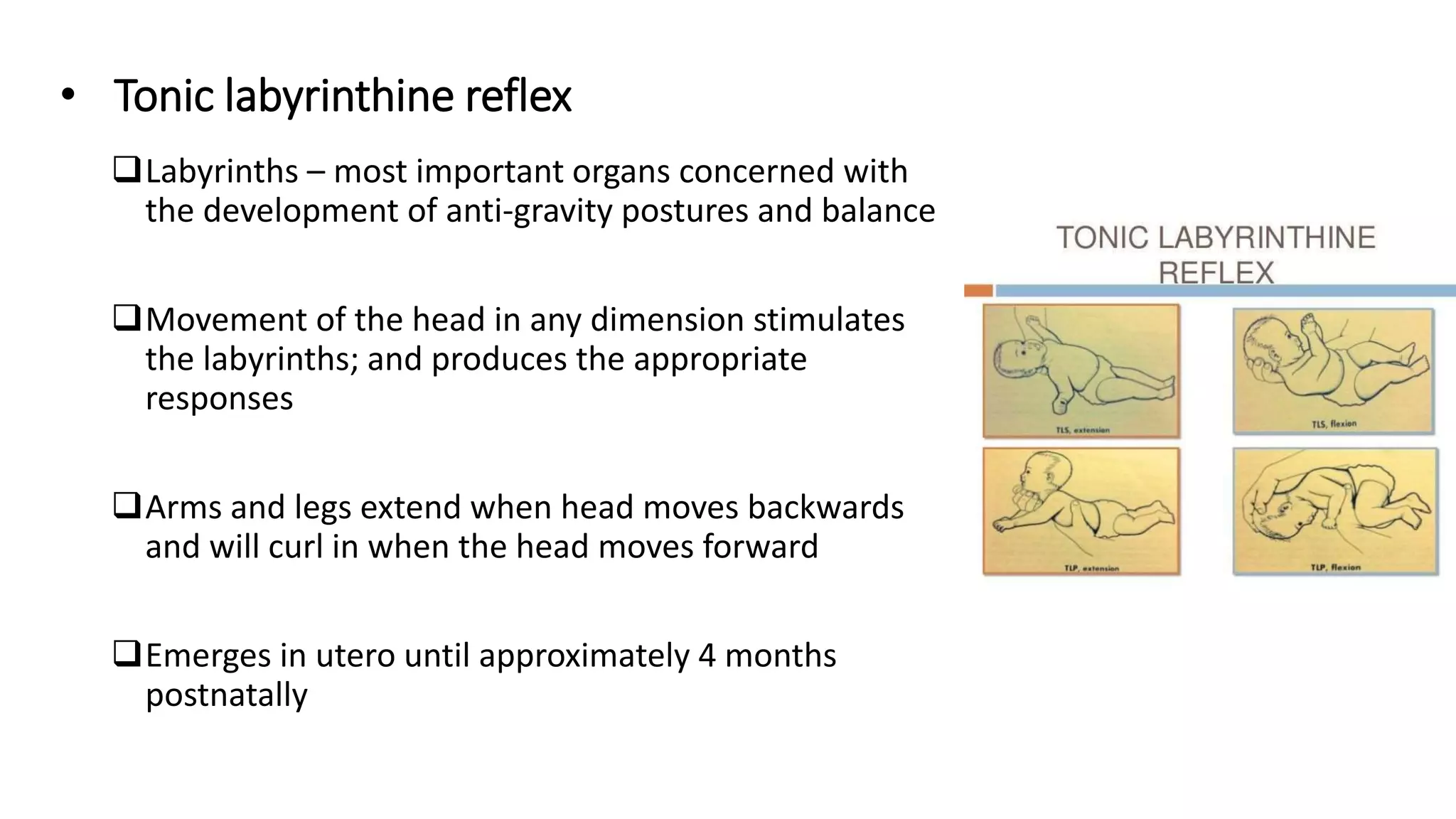 NEONATAL REFLEX.pptx