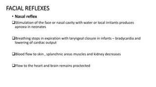 NEONATAL REFLEX.pptx