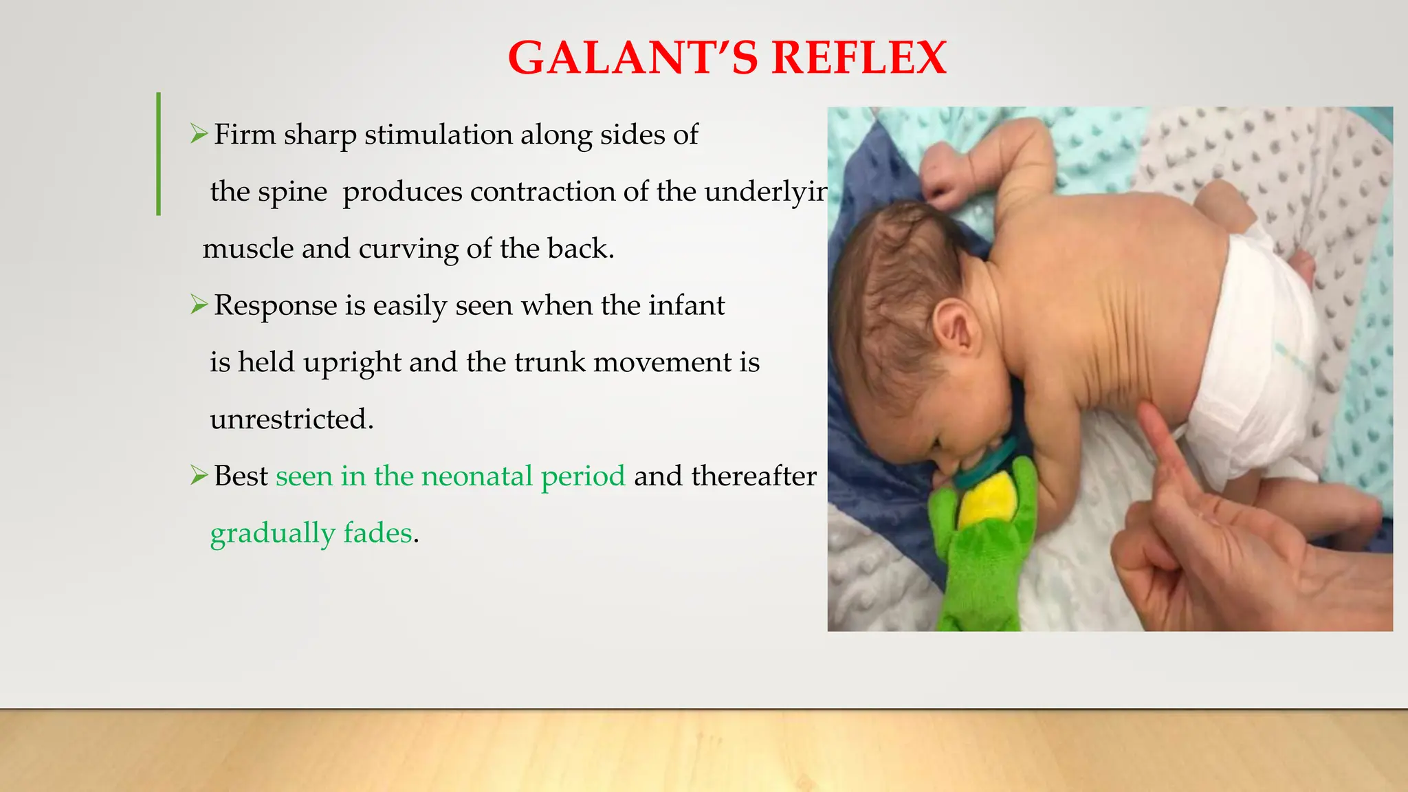 neonatal reflex.pptx